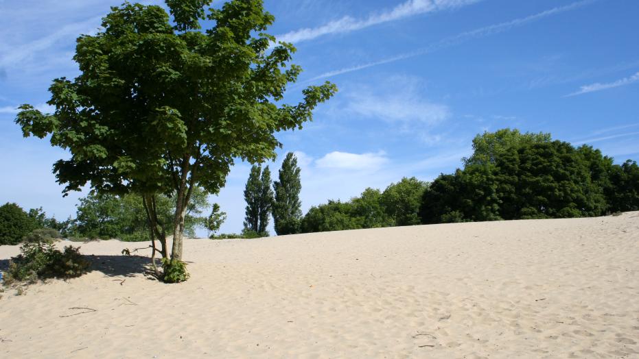 Wandelkalender | De Panne